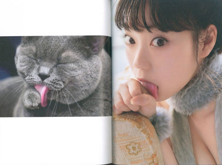 What If Your Cat Turned Into A Cute Girl J List Blog